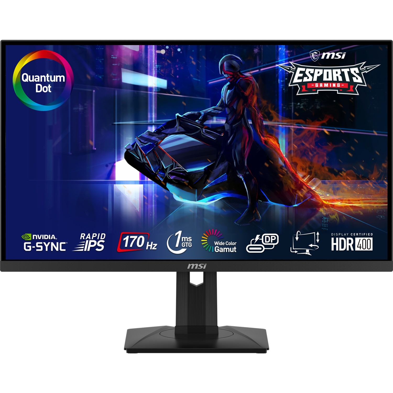 MSI G274QPF QD 27 IPS WQHD 170HZ 1MS FLAT GAMING MONITOR - EnSonu